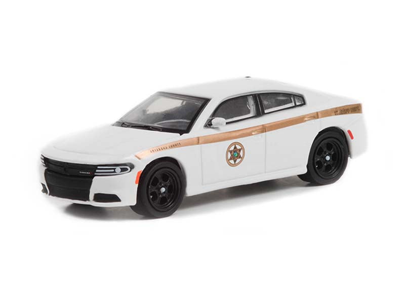 CHASE 2015 Dodge Charger Pursuit - Absaroka County Sheriff's Departmen ...